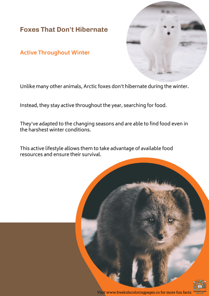 Arctic Fox Fun Facts Printable - Free Kids Coloring Pages
