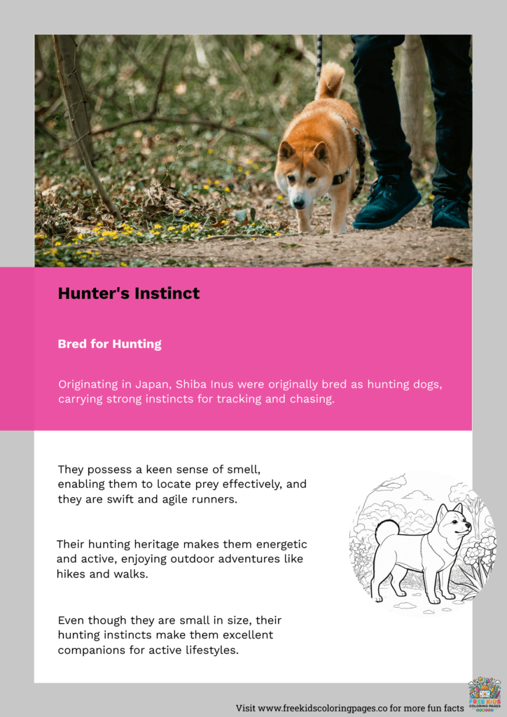 Shiba Inu Fun Facts Printable - Free Kids Coloring Pages