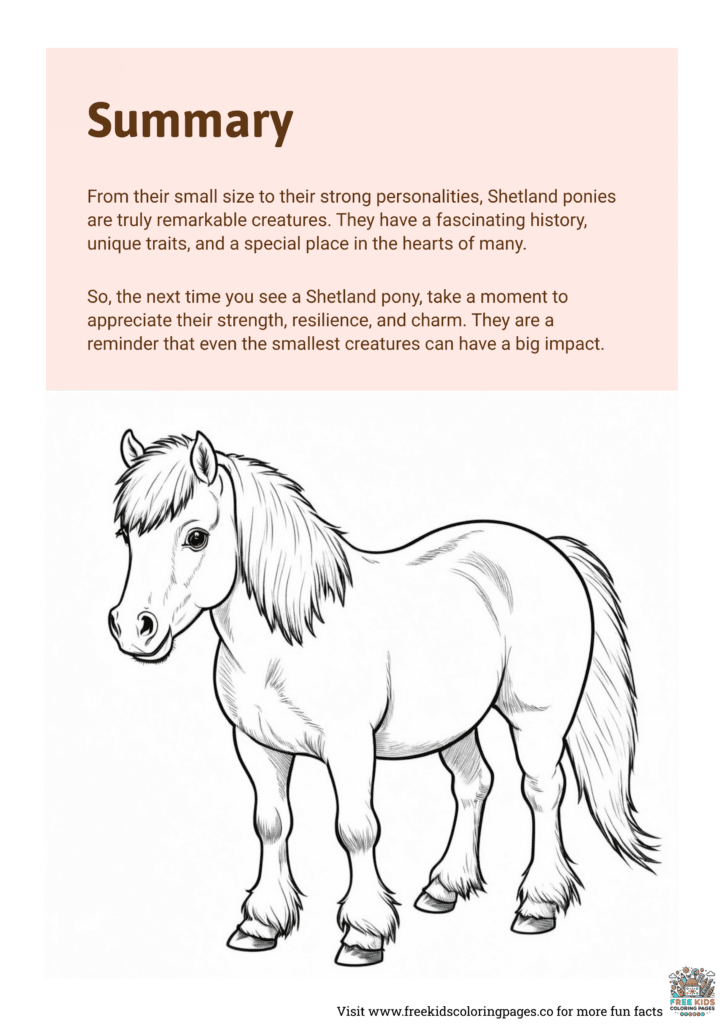 Shetland Pony Fun Facts Printable - Free Kids Coloring Pages