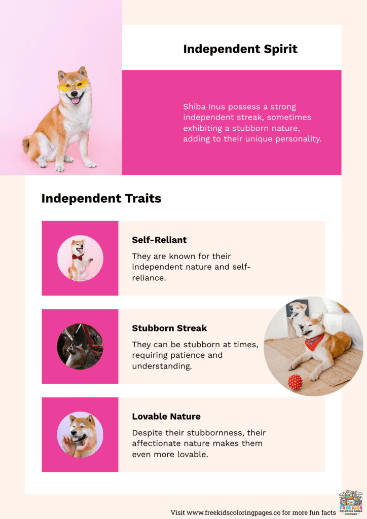 Shiba Inu Fun Facts Printable - Free Kids Coloring Pages