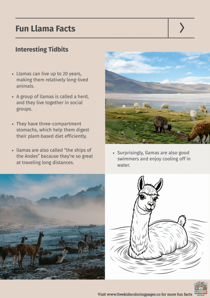 Llamas Fun Facts Printable - Free Kids Coloring Pages
