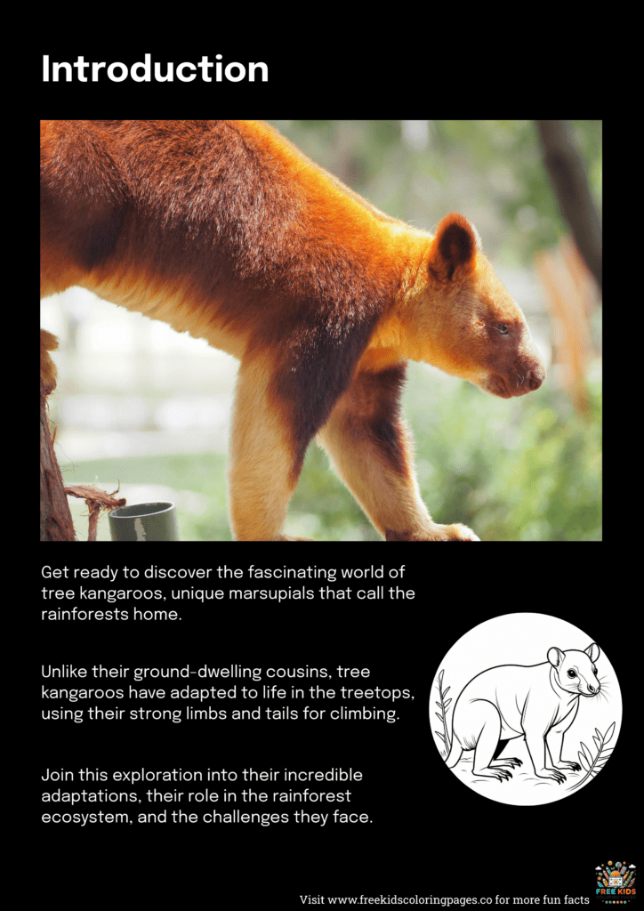 Terrific Tree Kangaroo Fun Facts Printable - Free Kids Coloring Pages