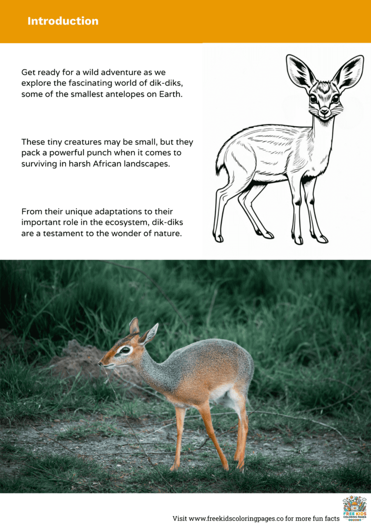 Delightful Dik Dik Fun Facts Printable - Free Kids Coloring Pages