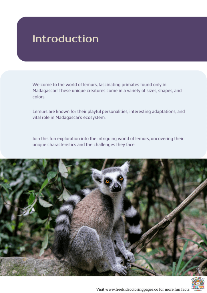 Awesome Lemur Fun Facts Printable - Free Kids Coloring Pages