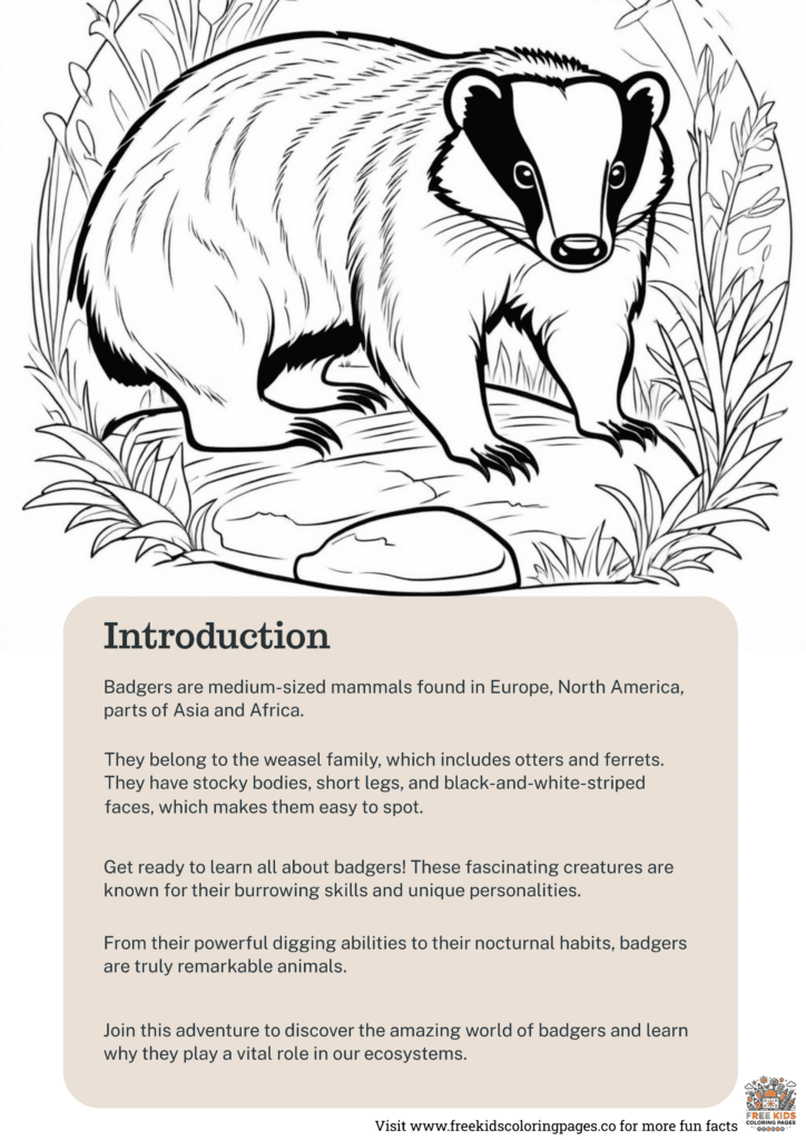 Brilliant Badger Fun Facts Printable - Free Kids Coloring Pages