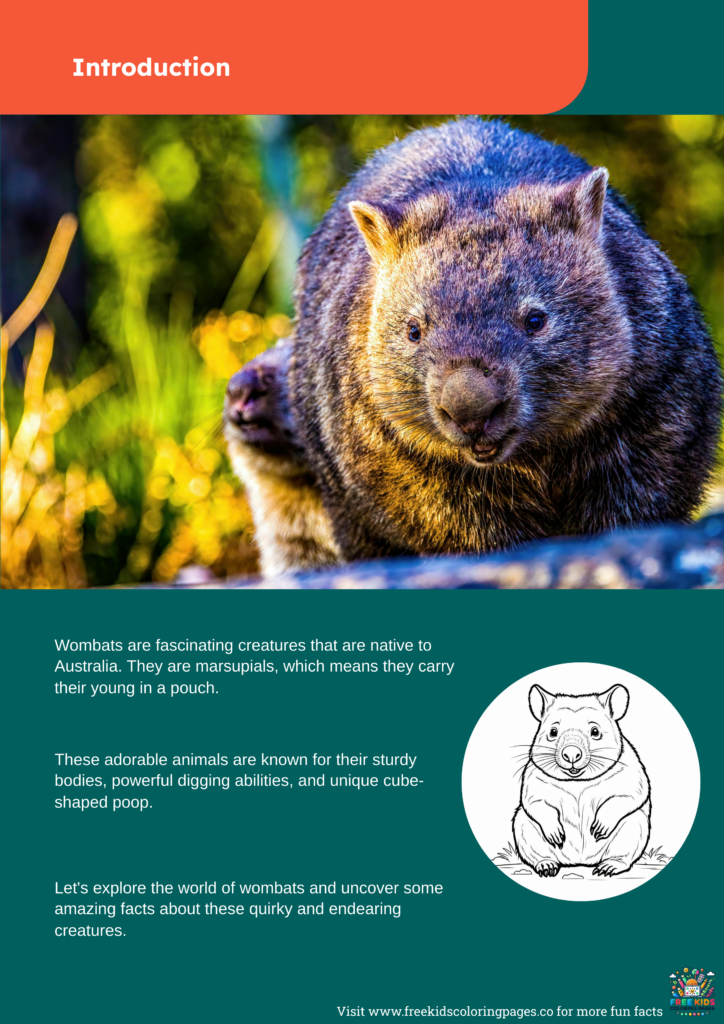 Wonderful Wombat Fun Facts Printable - Free Kids Coloring Pages