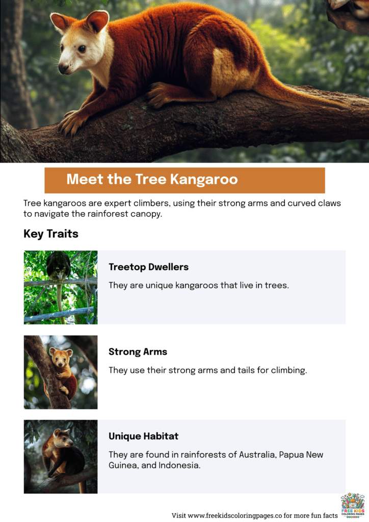 Terrific Tree Kangaroo Fun Facts Printable - Free Kids Coloring Pages