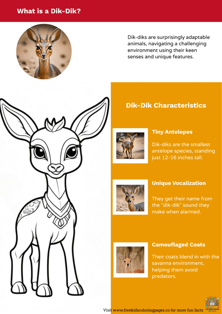 Delightful Dik Dik Fun Facts Printable - Free Kids Coloring Pages