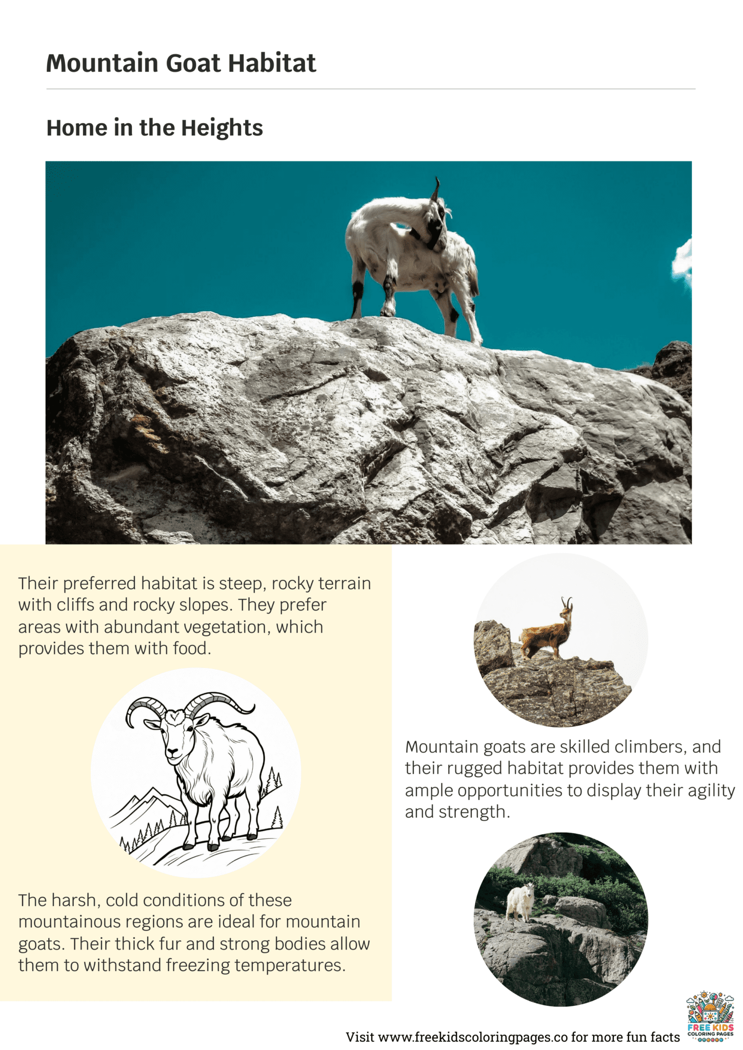 Marvelous Mountain Goats Fun Facts Printable - Free Kids Coloring Pages