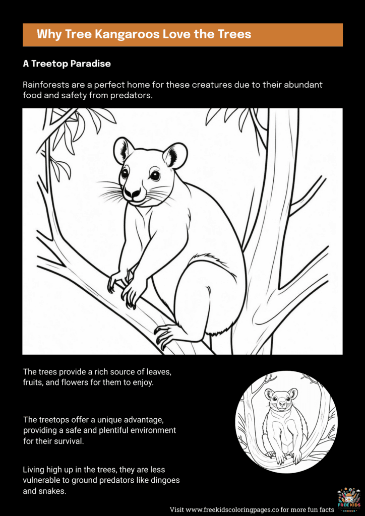 Terrific Tree Kangaroo Fun Facts Printable - Free Kids Coloring Pages