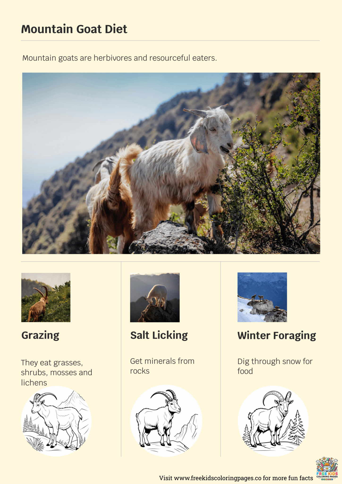 Marvelous Mountain Goats Fun Facts Printable - Free Kids Coloring Pages