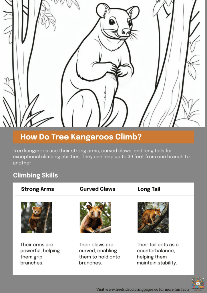 Terrific Tree Kangaroo Fun Facts Printable - Free Kids Coloring Pages