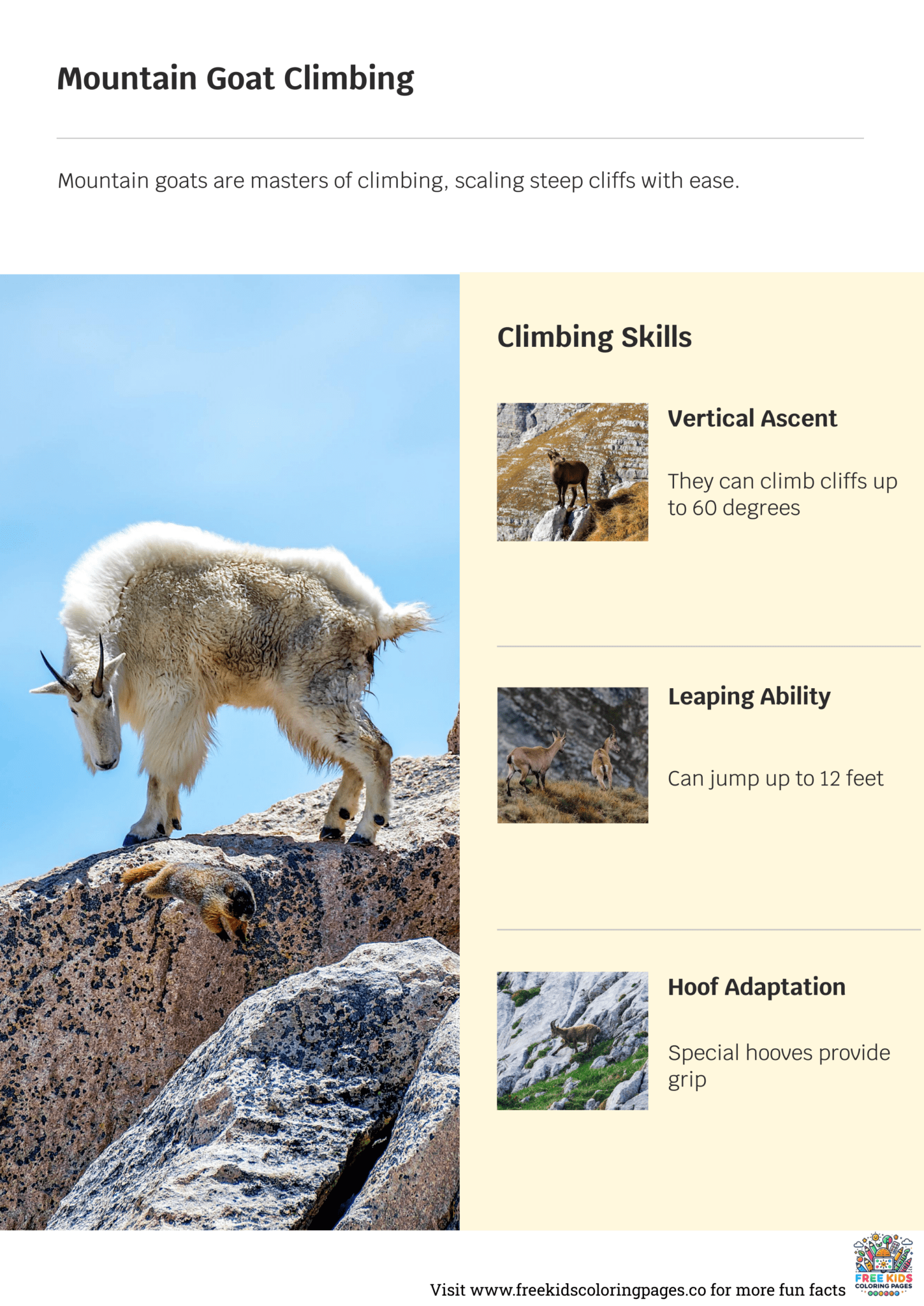 Marvelous Mountain Goats Fun Facts Printable - Free Kids Coloring Pages