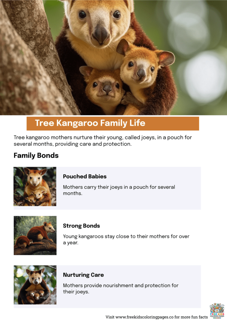 Terrific Tree Kangaroo Fun Facts Printable - Free Kids Coloring Pages