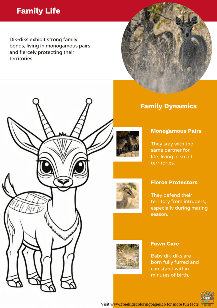 Delightful Dik Dik Fun Facts Printable - Free Kids Coloring Pages