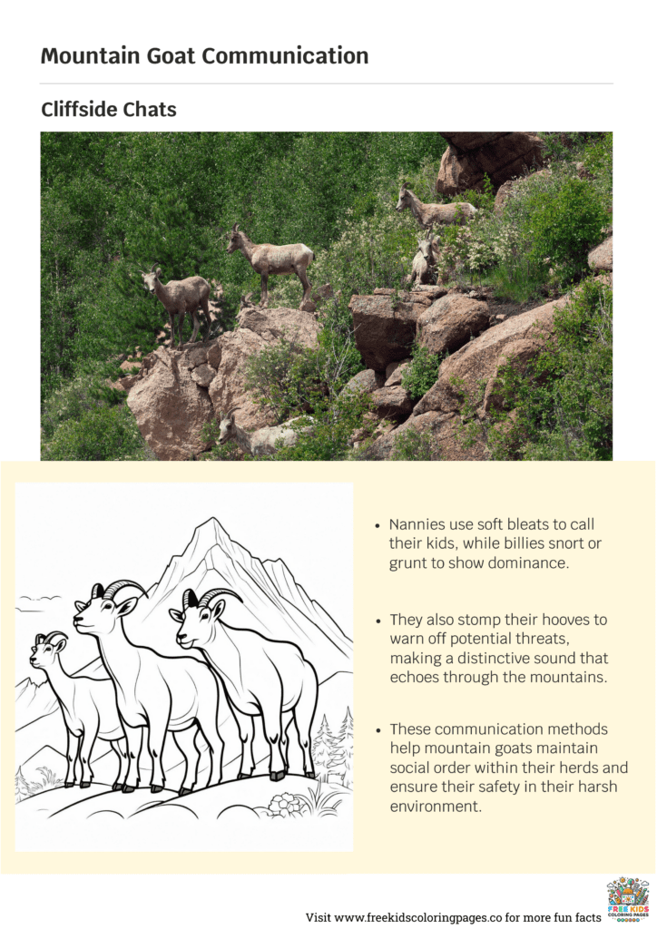 Marvelous Mountain Goats Fun Facts Printable - Free Kids Coloring Pages