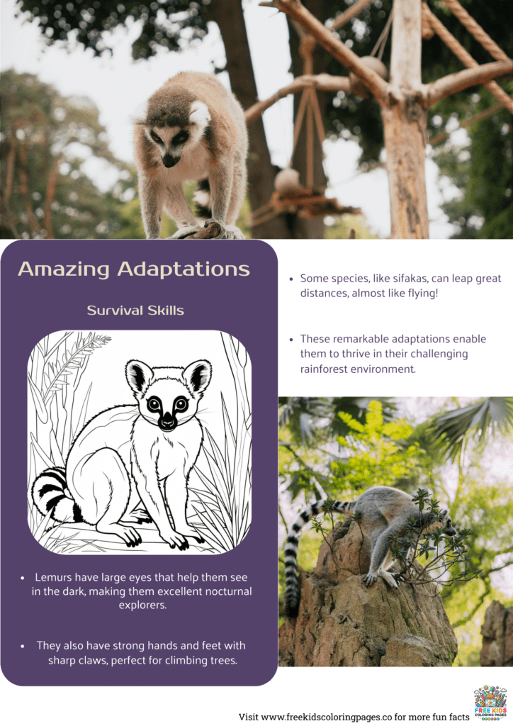 Awesome Lemur Fun Facts Printable - Free Kids Coloring Pages