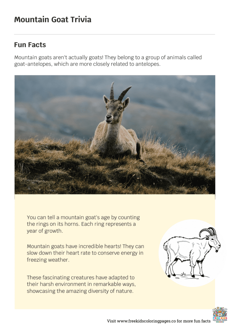 Marvelous Mountain Goats Fun Facts Printable - Free Kids Coloring Pages
