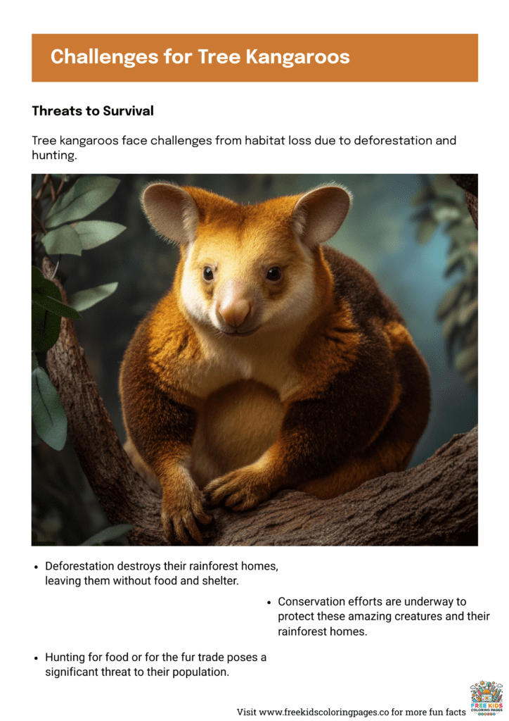 Terrific Tree Kangaroo Fun Facts Printable - Free Kids Coloring Pages