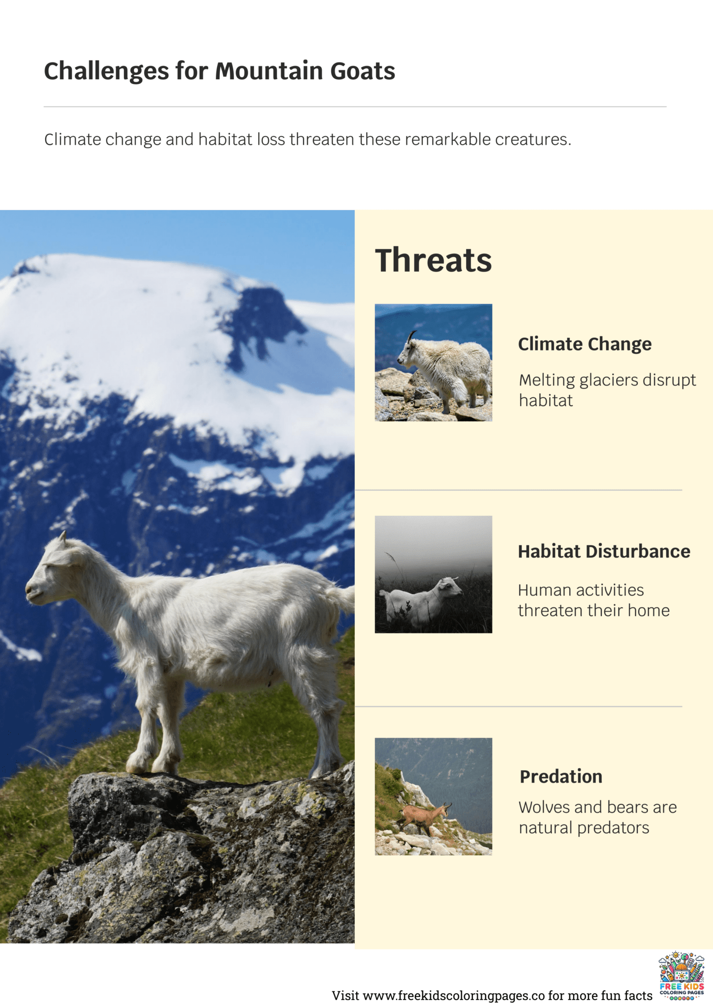 Marvelous Mountain Goats Fun Facts Printable - Free Kids Coloring Pages