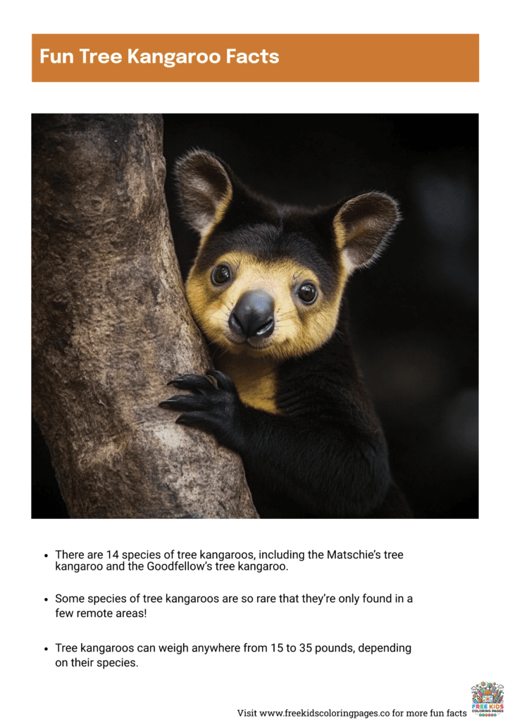 Terrific Tree Kangaroo Fun Facts Printable - Free Kids Coloring Pages