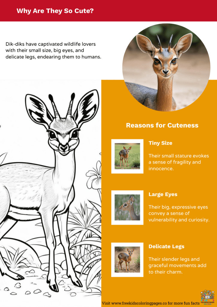 Delightful Dik Dik Fun Facts Printable - Free Kids Coloring Pages