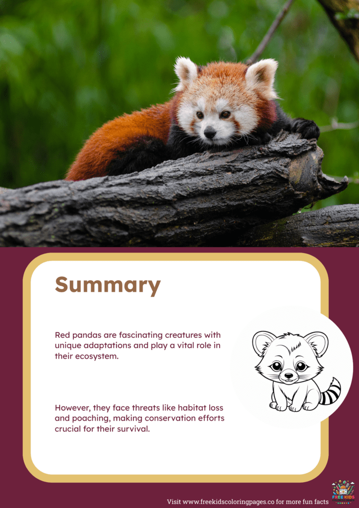 Adorable Red Panda Fun Facts Printable - Free Kids Coloring Pages