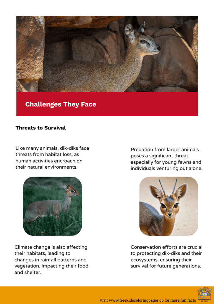 Delightful Dik Dik Fun Facts Printable - Free Kids Coloring Pages