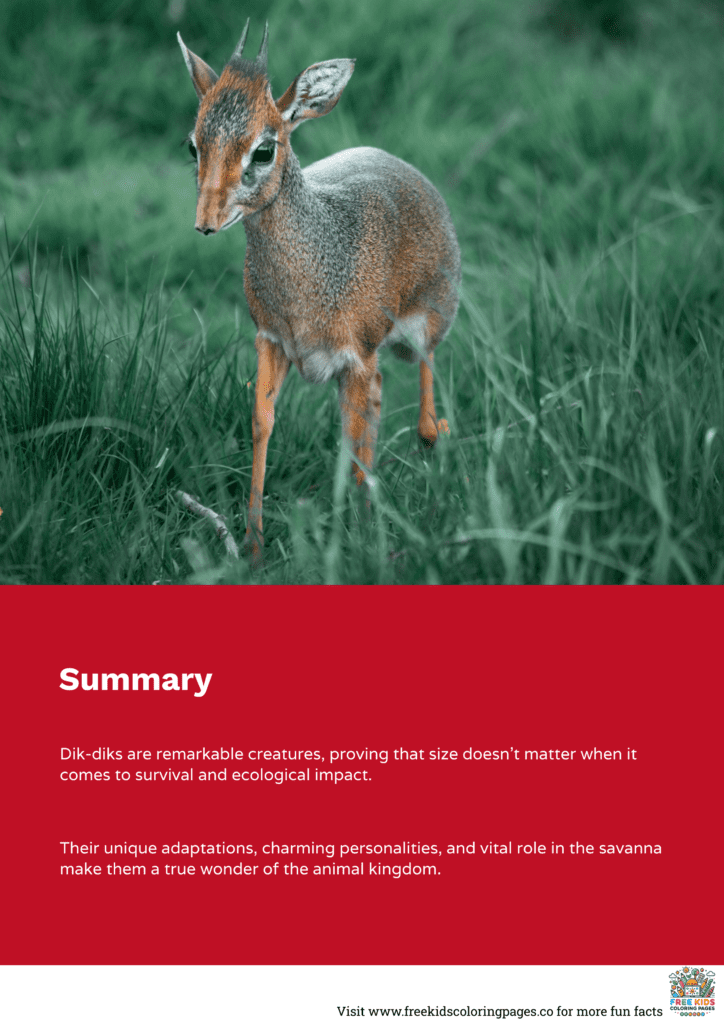 Delightful Dik Dik Fun Facts Printable - Free Kids Coloring Pages